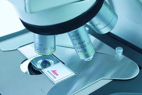 Microscopio DM1000 LED | Leica Microsystems