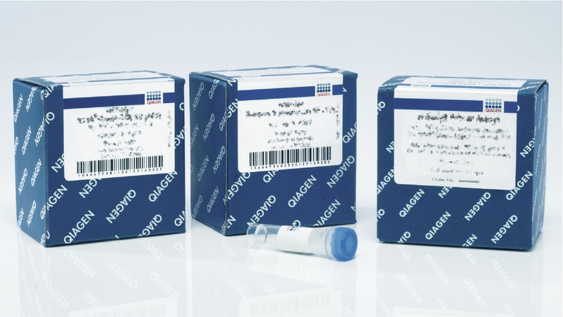 Pruebas PyroMark Q24 | Qiagen